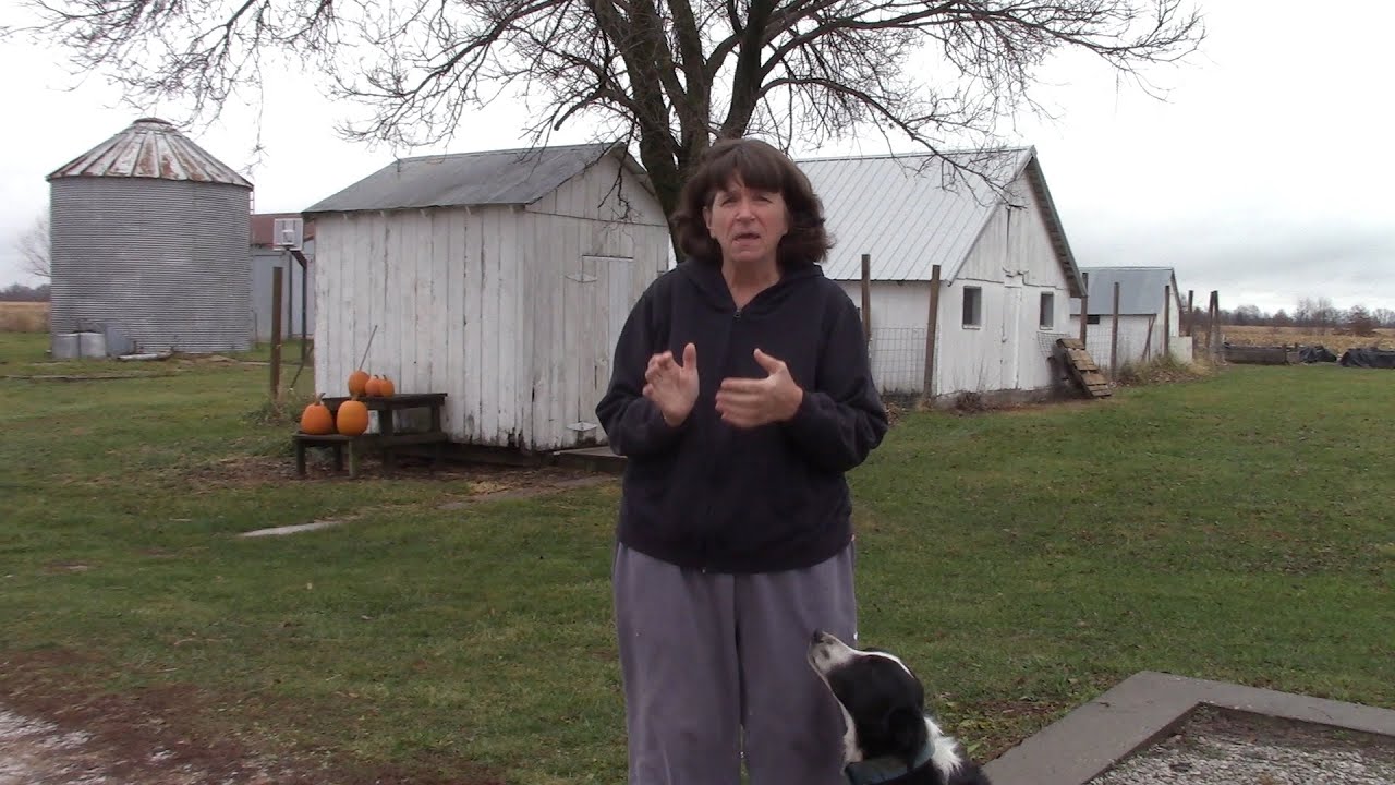 Walk Around the Homestead in November 2020 by Kim's Country Corner ...