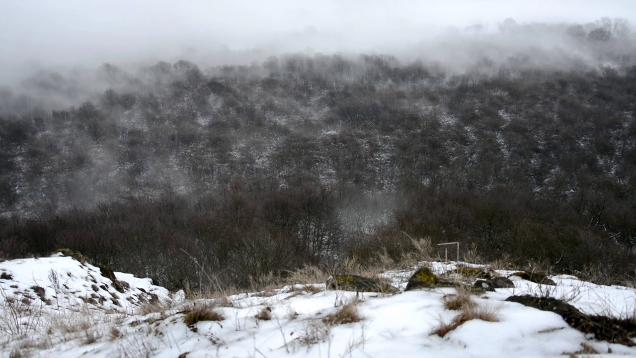 Fog in the forest Central Bohemian Uplands - YouTube