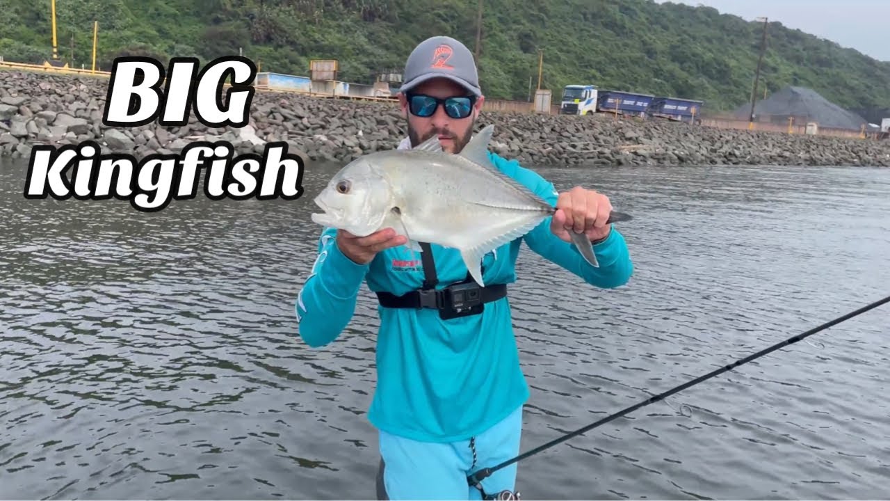 Fishing Durban Harbour and catching BIG Kingfish plus 7 Species. - YouTube