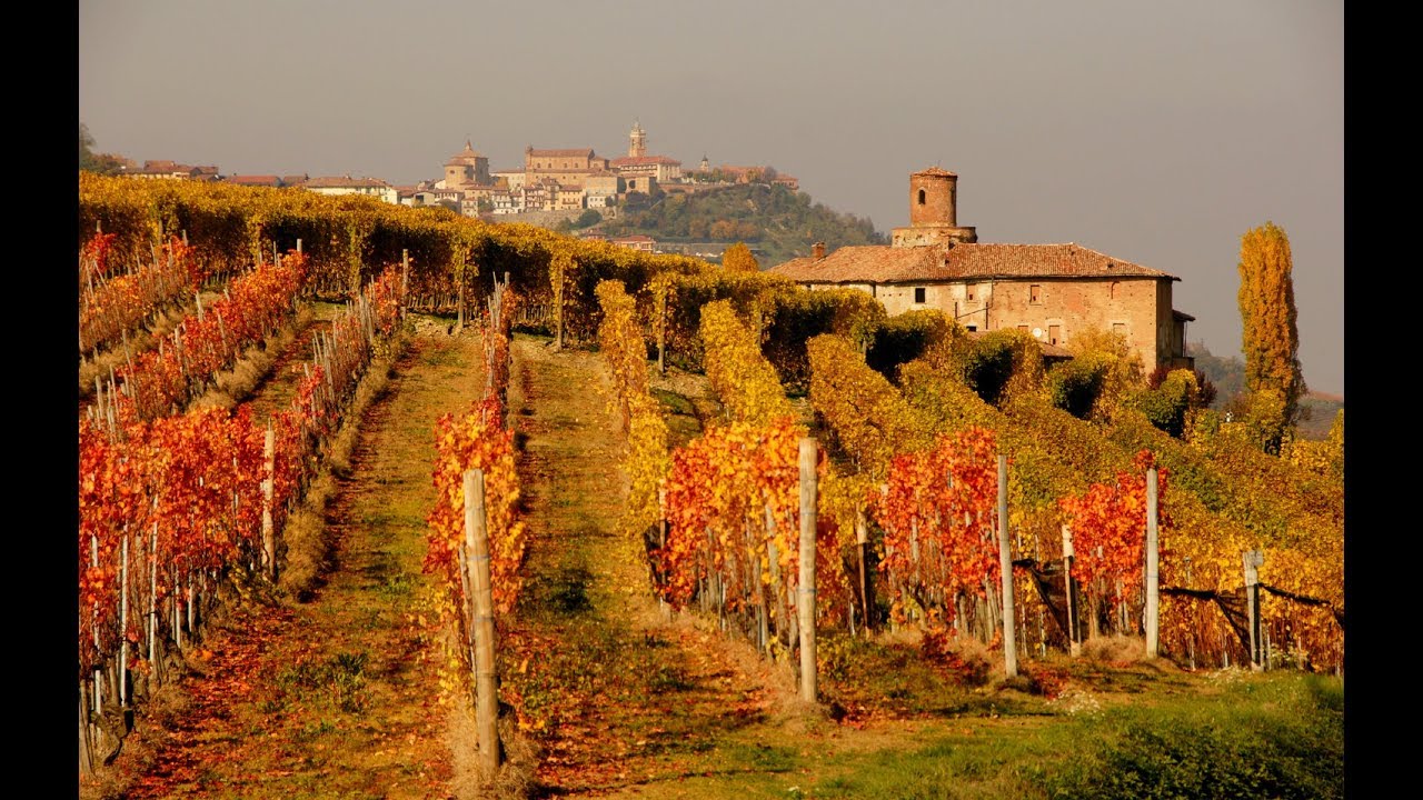 Do you know Barolo vineyards in the Langhe territory in Italy? Amazing ...