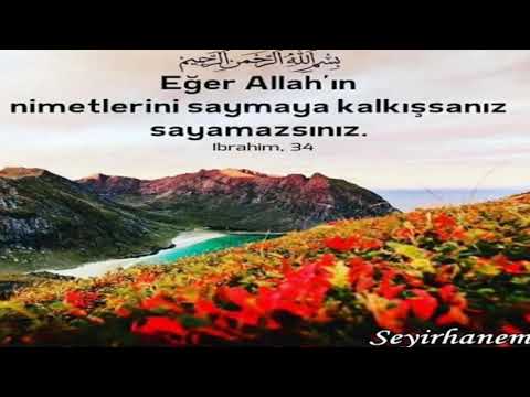 daima şükür etmek