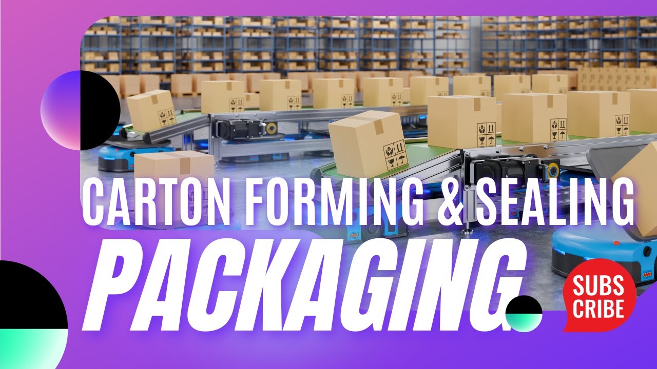 WIN-WIN PACK Automated Carton Forming and Sealing Production Packaging ...