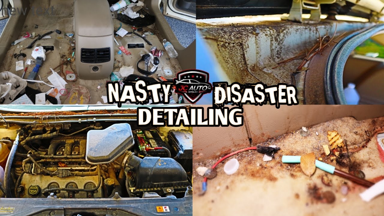 Complete Disaster Car Detailing Transformation!!! Deep Cleaning a ...