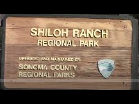 Shiloh Ranch Regional Park - YouTube