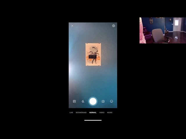 Sparkar Xray Test Youtube Create Your First AR Artwork Artivive
