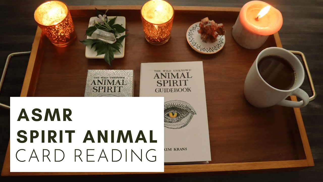 ASMR SPIRIT ANIMAL CARD READING for June! | Cards | Talking Softly ...