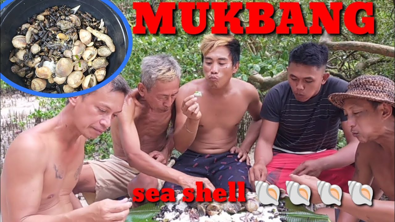 MUKBANG (sea shells)🐚🐚🐚 seafoods (catch & cook) - YouTube