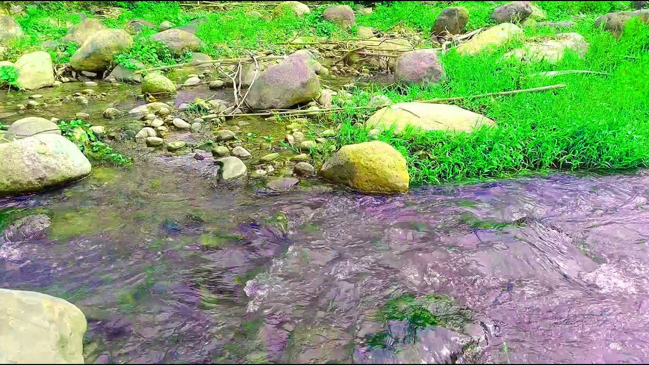 Find Peace In The Rushing Babble Of Water - Relaxing River Sounds For A ...