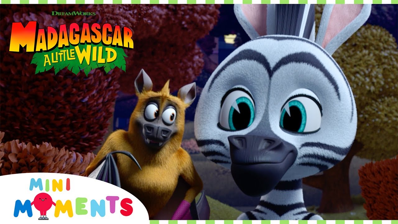 Marty Meets A Bat?! 🦇😳🦓 | Madagascar: A Little Wild | Clip | Mini ...