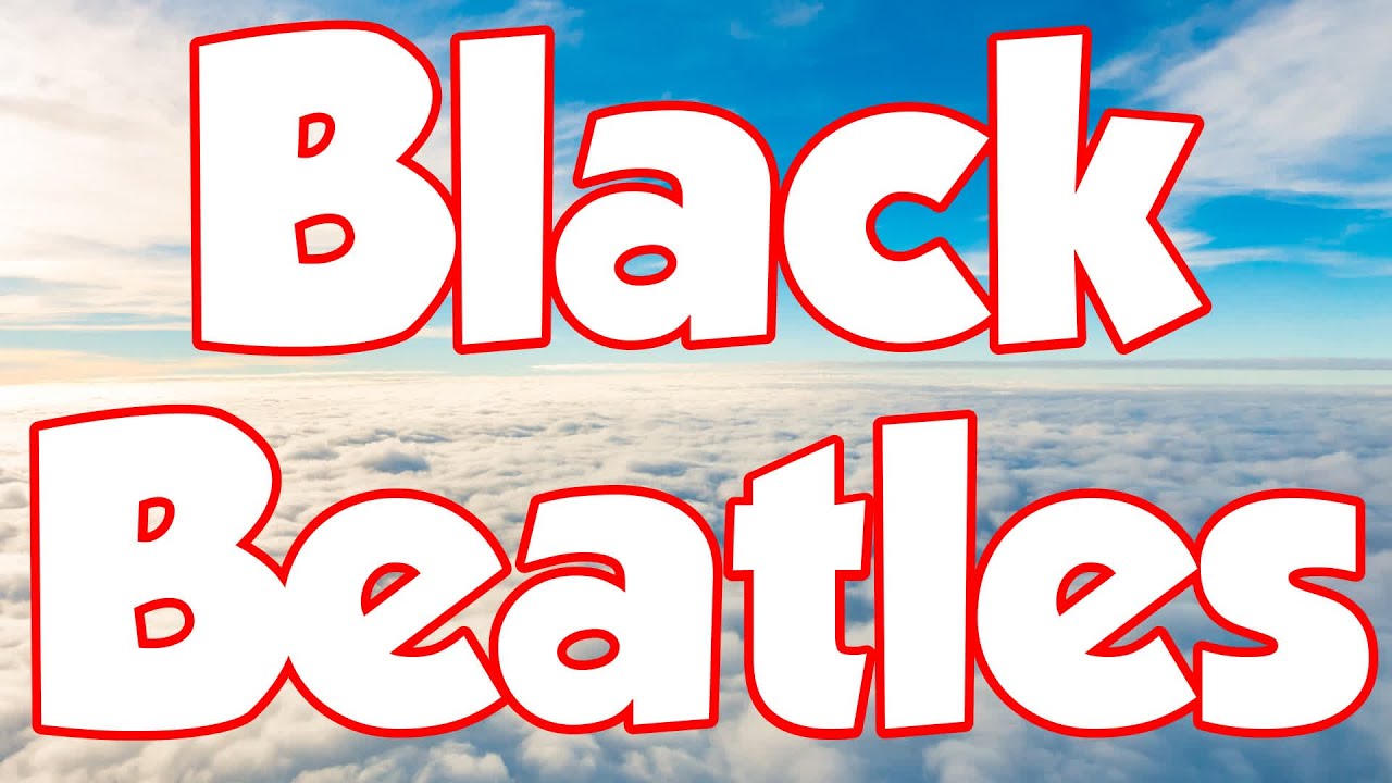 Black Beatles - Rae Sremmurd ft Gucci Mane (Lyrics) ( MIX LYRICS ...