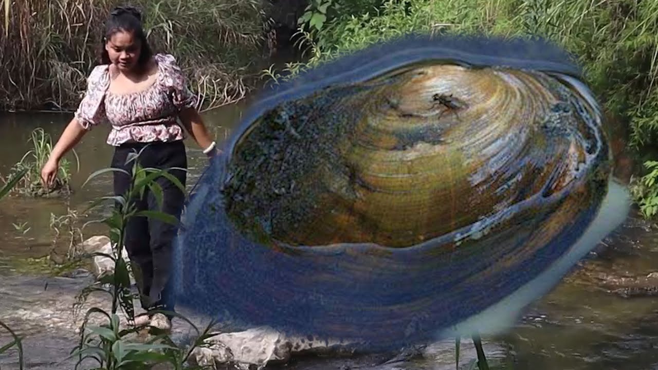 Find a few giant mother clams out of 10000 clams, which hold exquisite ...