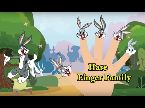 Finger Family Spanish Family Cartoon Animation For Children Hare - YouTube