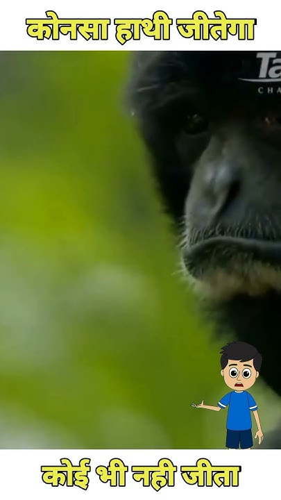 2 HATHI KI JABERDAST LADAI #SHORTS - YouTube