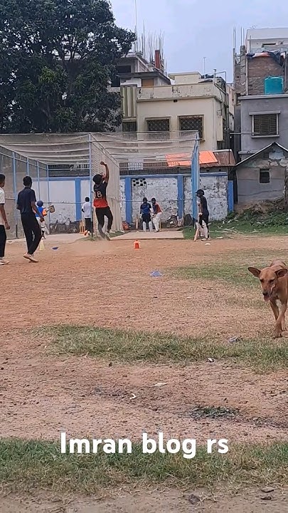 #cricket practice .. Imran blog rs Imran Boling line.. fast boll kheiche Kare 🏏🏏 duec boll ...