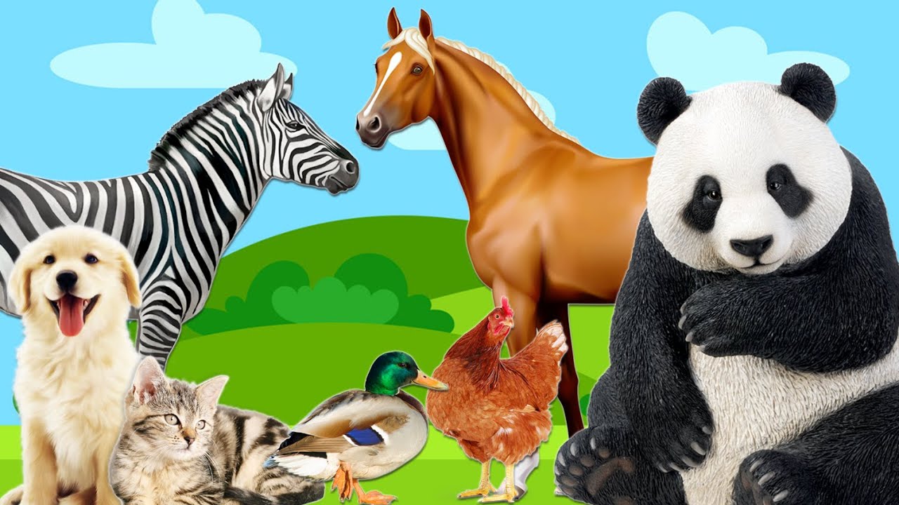 HEWAN YANG LUCU : KUCING, ANJING, KUDA, PANDA || SUARA HEWAN - YouTube