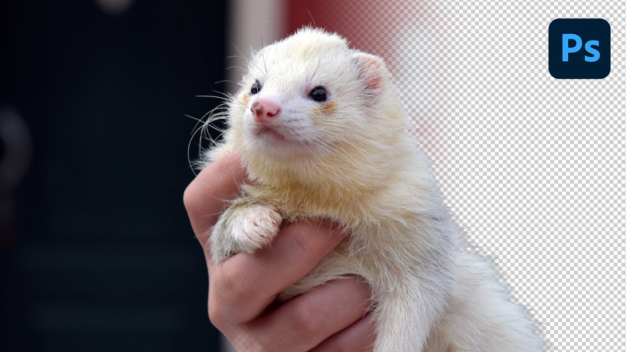 Comment faire un DÉTOURAGE RAPIDE ET EFFICACE - TUTO PHOTOSHOP 2023 ...