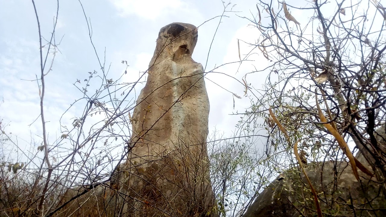 Gamboshi uchawi upo jiwe raongea - YouTube