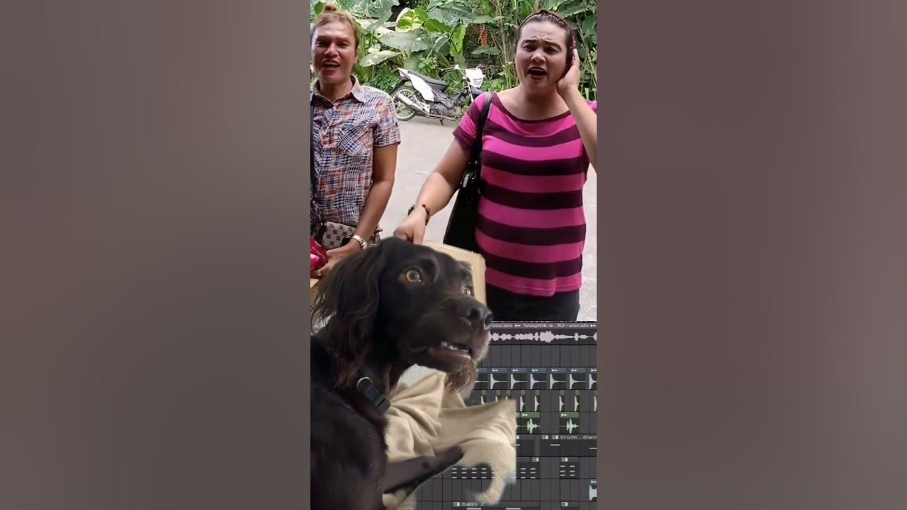 Caroling Divas Funny Duo Caroling Tiktok Viral Remix Youtube