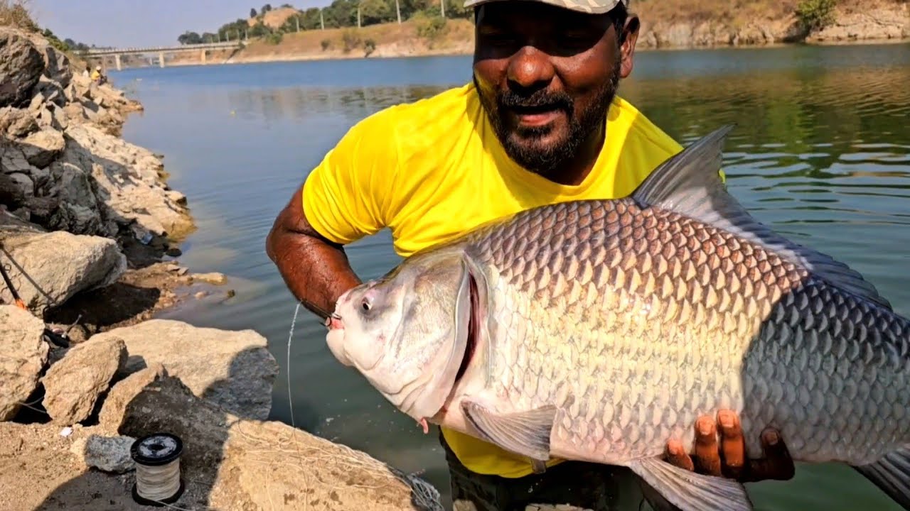 King Size Catla Fish Catching # Unbelievable Catla Fish # Amazing ...