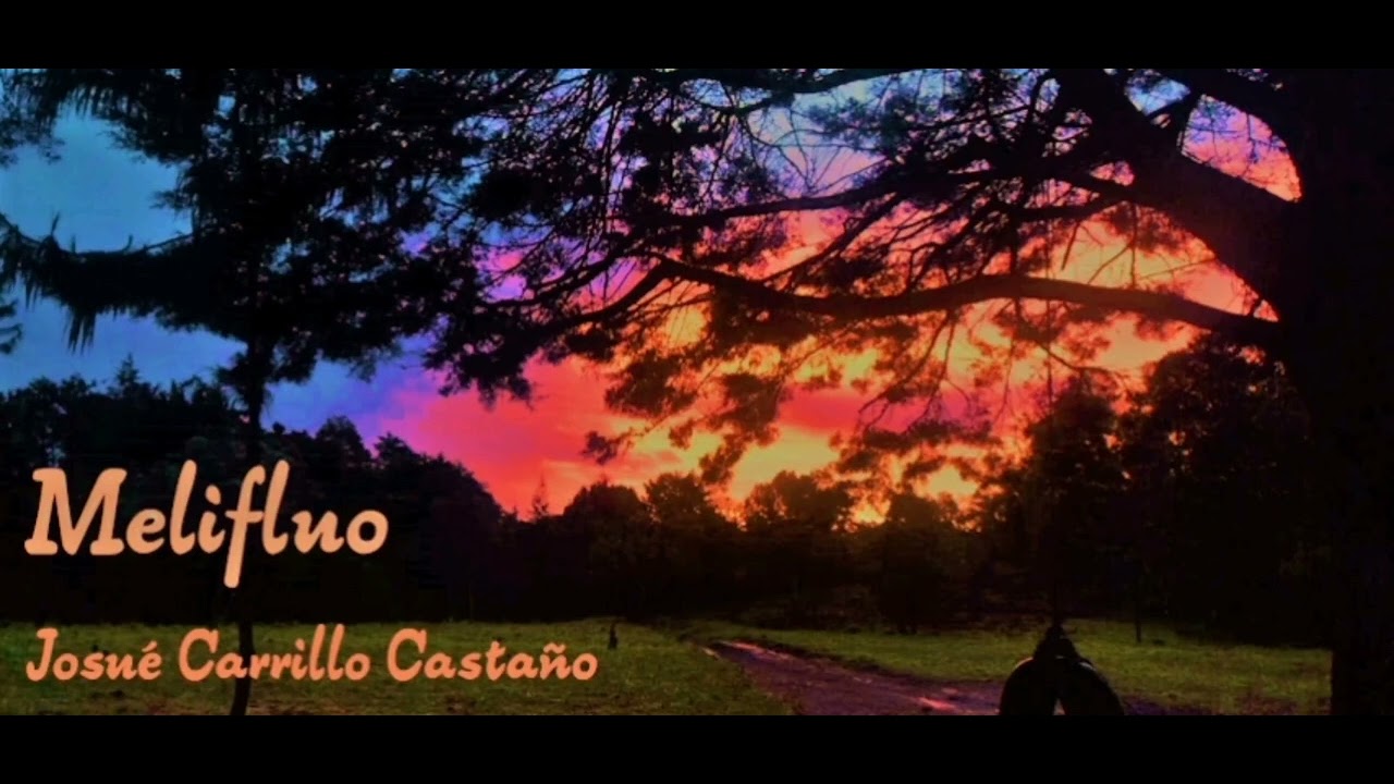 Melifluo - YouTube