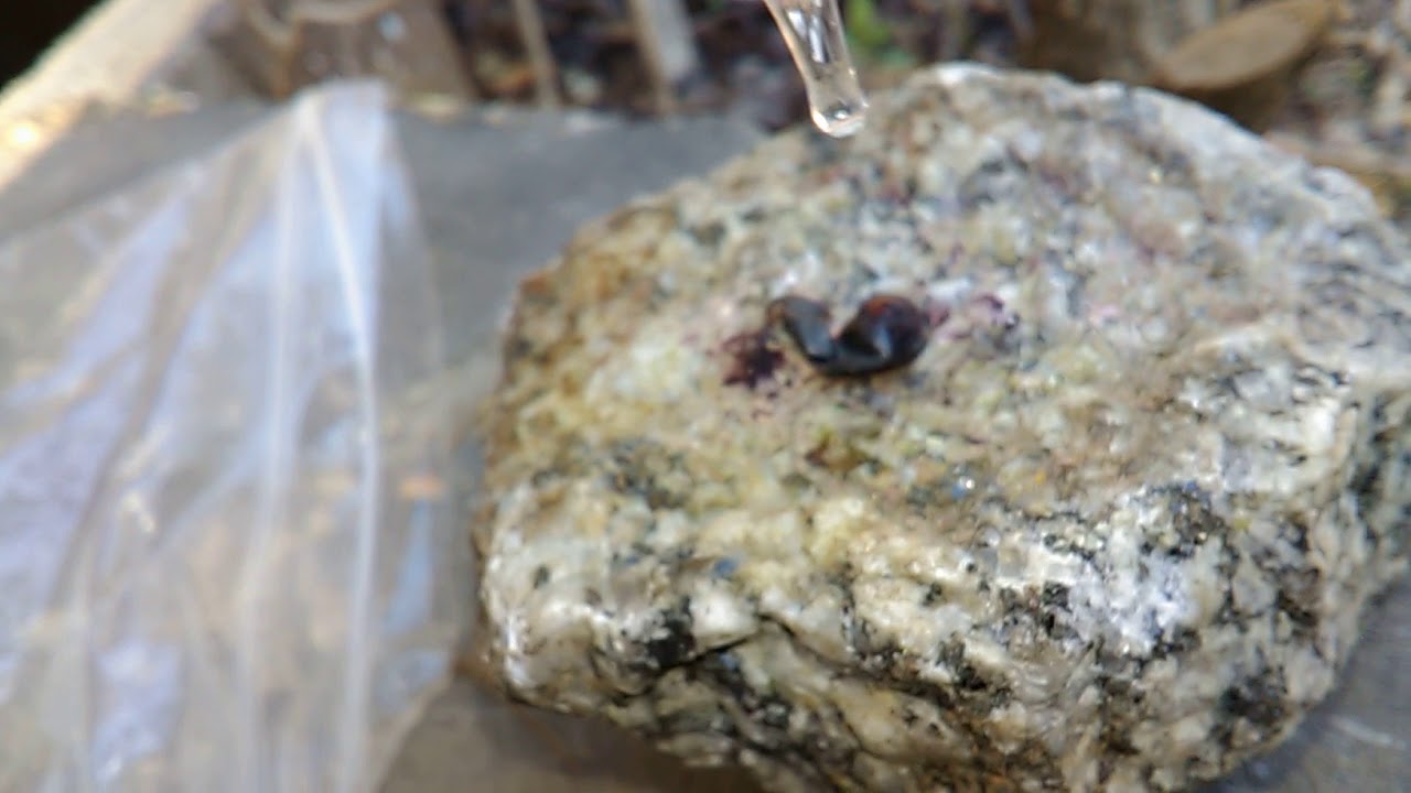 How to make poison part 1 - YouTube