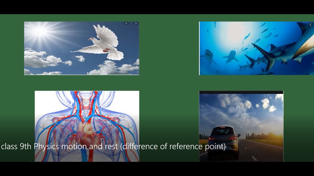 Class 9th Physics Motion and Rest lecture 1 (difference of reference ...