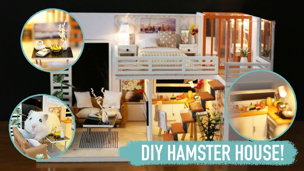 DIY Hamster House - YouTube