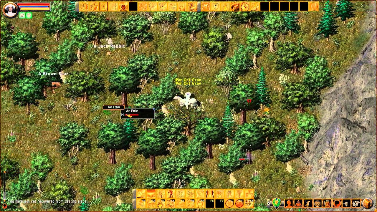 Let's Show Ultima Online - #023 - Zu Besuch im Orc Camp - YouTube