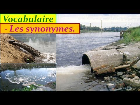 Projet 02- Séquence 02 - Vocabulaire : les synonymes : (1 AM : 2ème ...