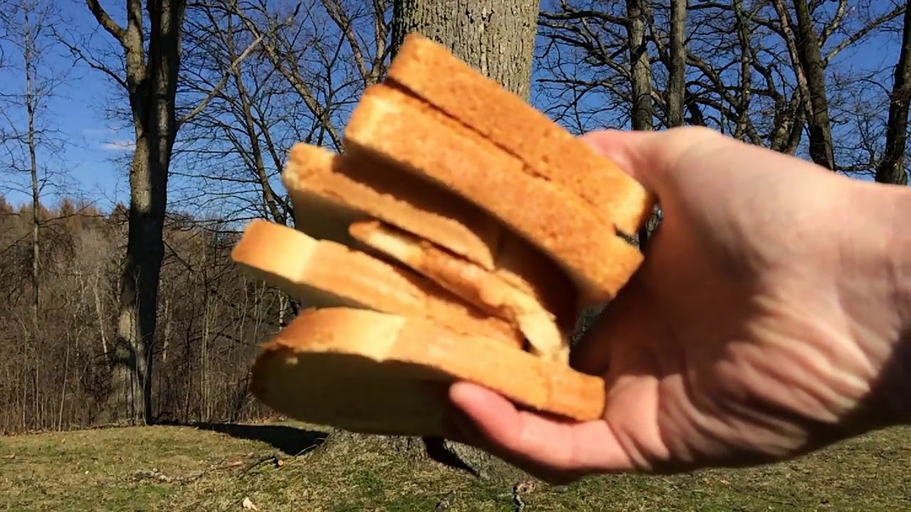 Throwing bread at a tree in SUPER SLO-MO - YouTube