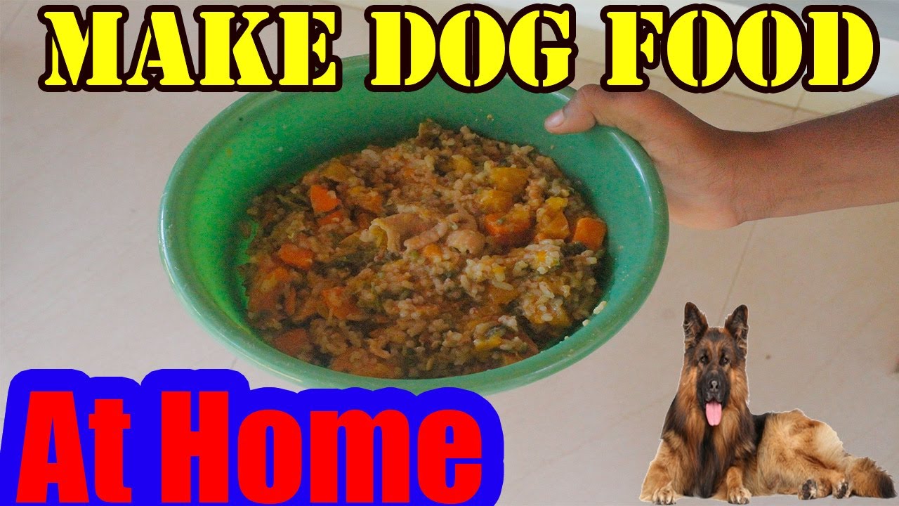 How To Make A Dog Food At Home YouTube how-to-make-a-dog-food-at-home-youtube