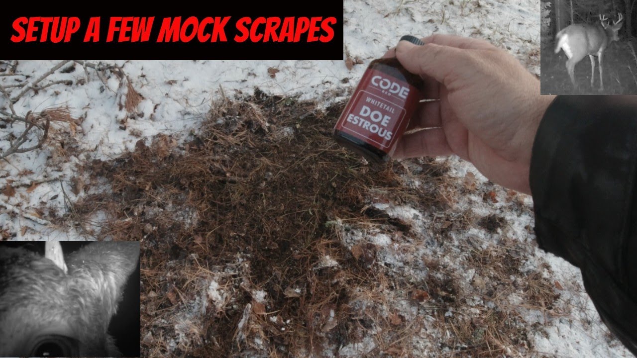 Mock Deer Scrape, Making a Mock Scrape, Deer Rut. #Hunting # ...