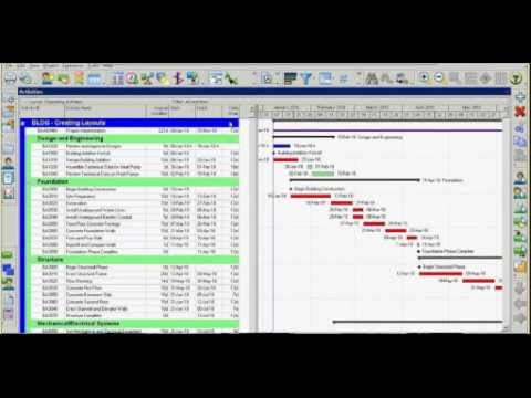 Oracle® Primavera P6 PPM - Group and Sort by Month - YouTube