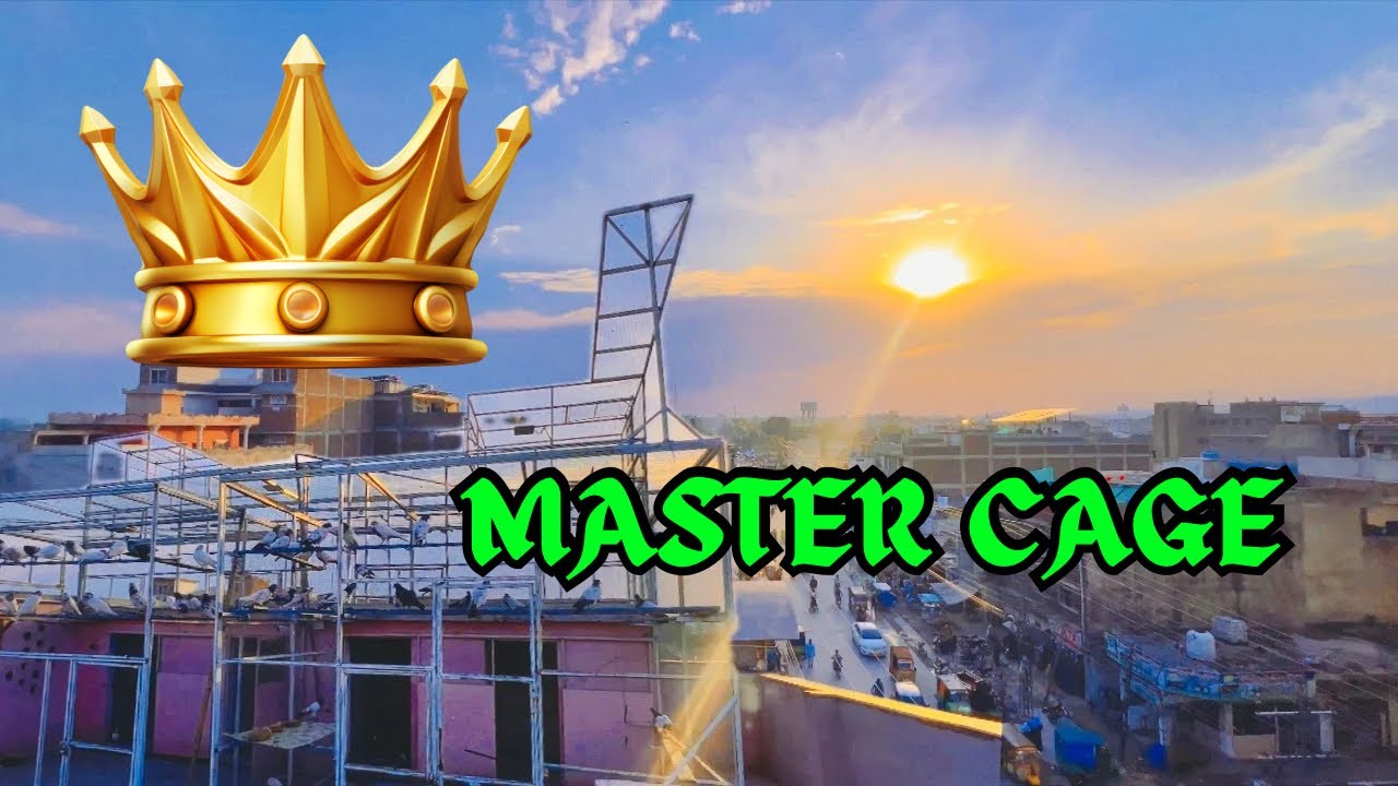 Master Cage Visit | Dhoke Ratta Pigeon Club - YouTube