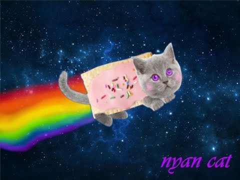realistic nyan cat [time lapse] - YouTube
