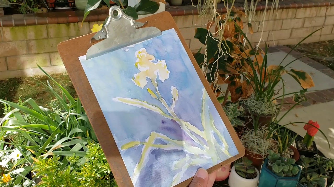 Yellow Iris Plein Air Watercolor Painting with Henry Li - YouTube