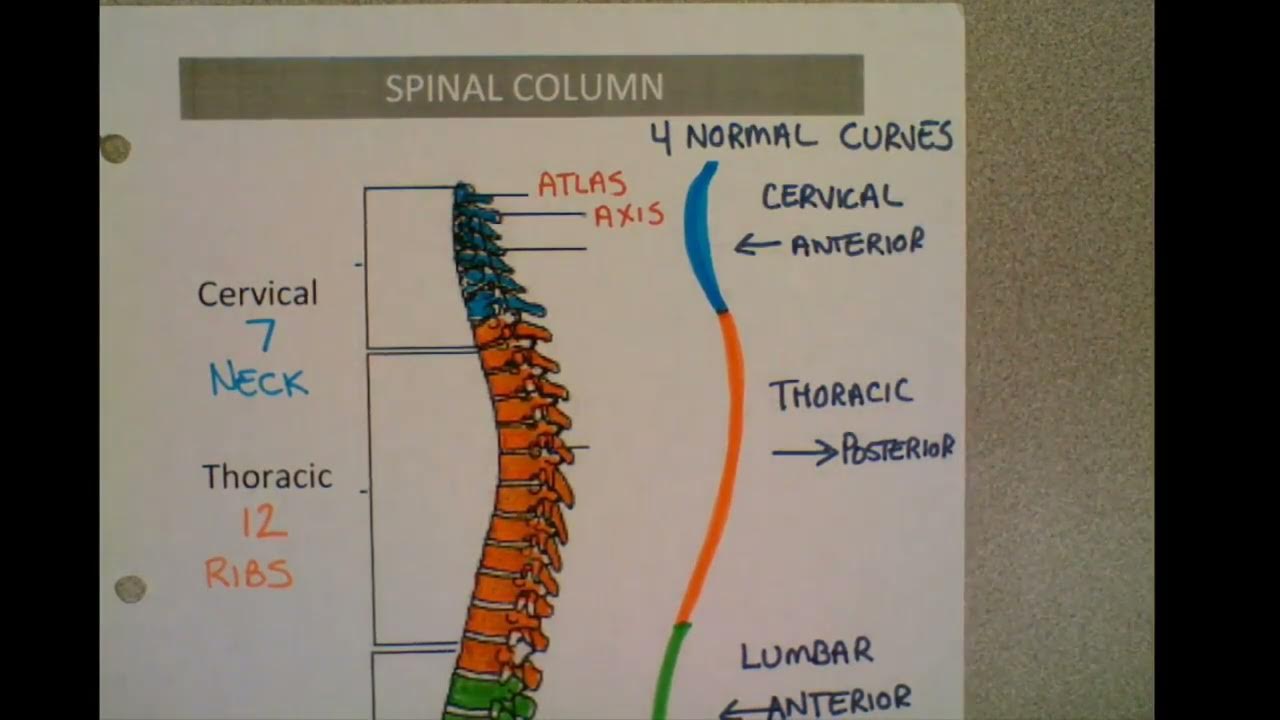 Handout 7 C - YouTube