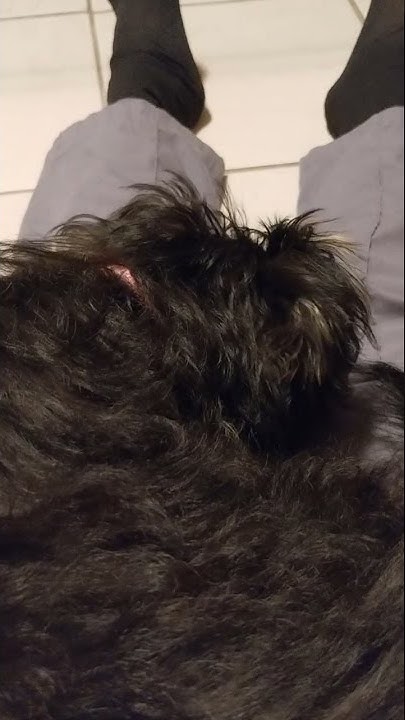 Situation at 3a.m. - YouTube