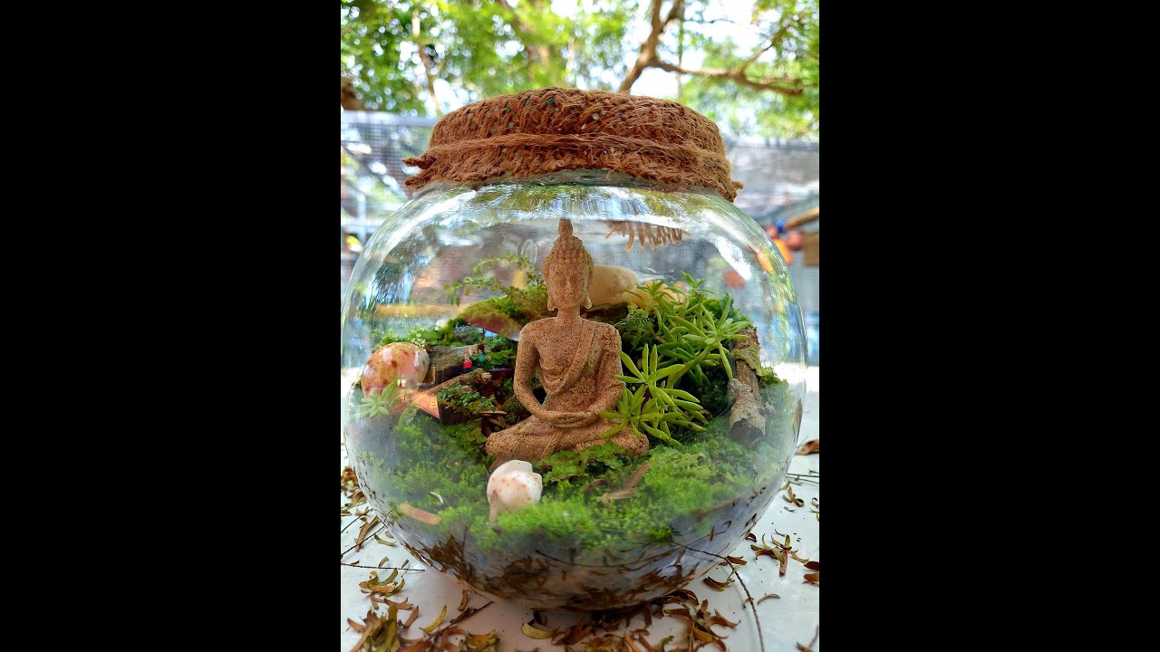 How To Make A Closed Terrarium Malayalam how-to-make-a-closed-terrarium-malayalam