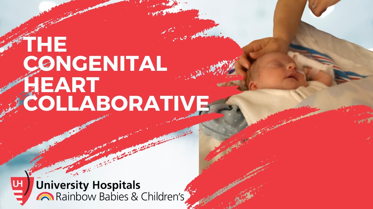 Caring for Heart Patients - The Congenital Heart Collaborative at UH ...
