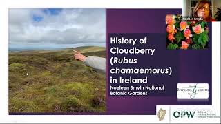 The History of Cloudberry in Ireland