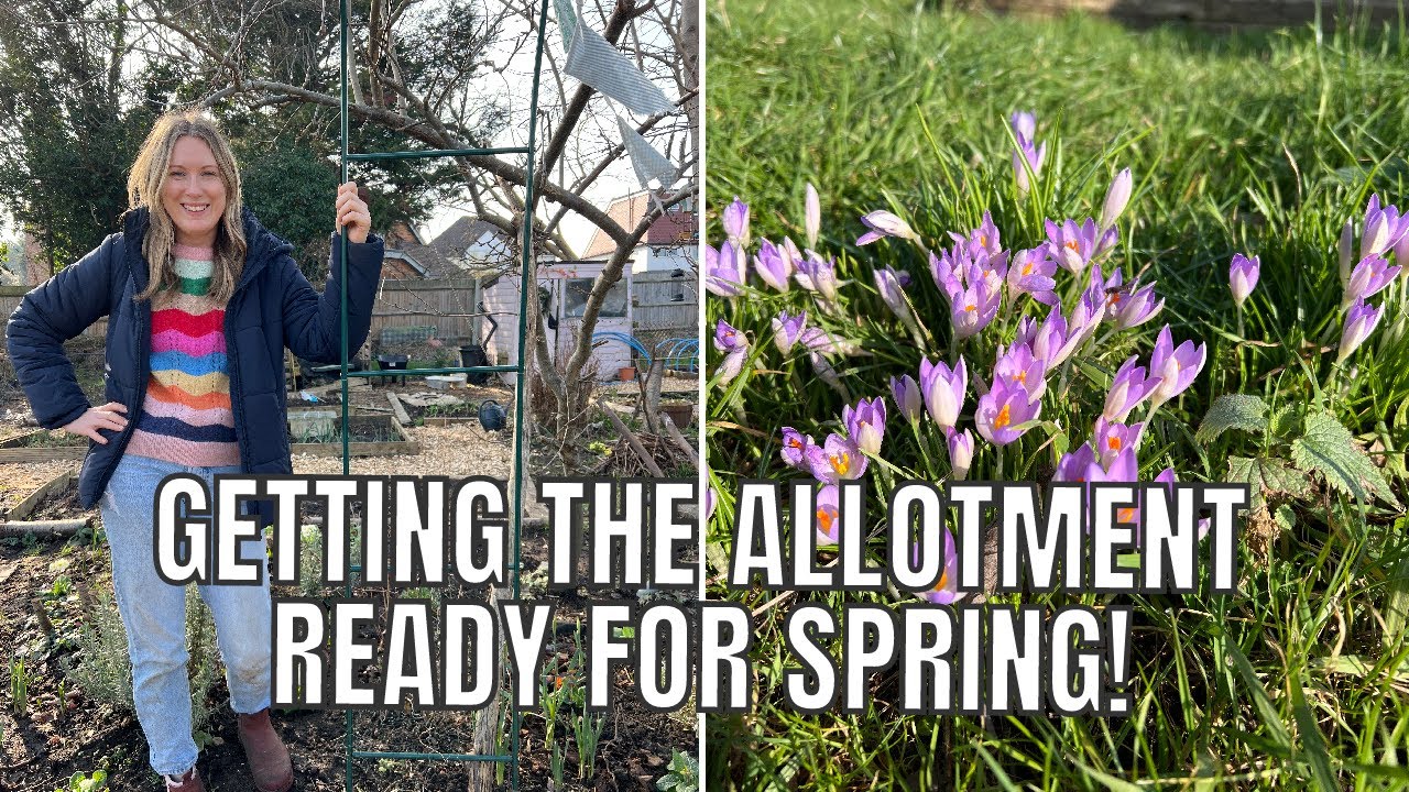 GETTING THE ALLOTMENT READY FOR SPRING / ALLOTMENT GARDENING UK - YouTube