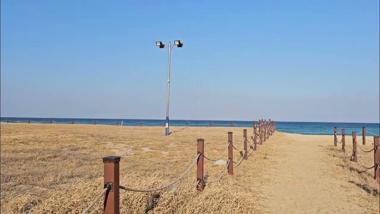 2025 0101 돌체 새해 첫날 바다에서~~ - YouTube