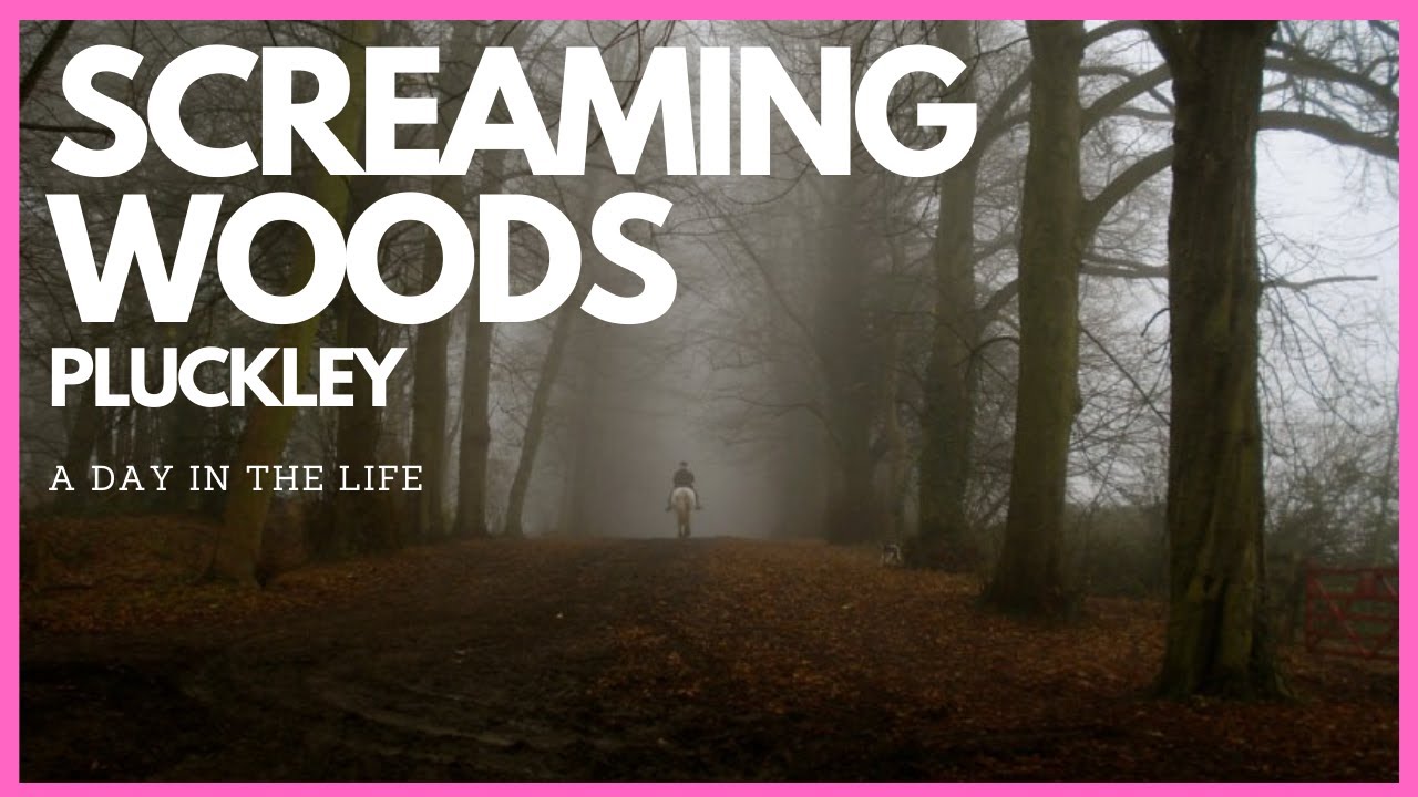 Screaming Woods - Pluckley - YouTube