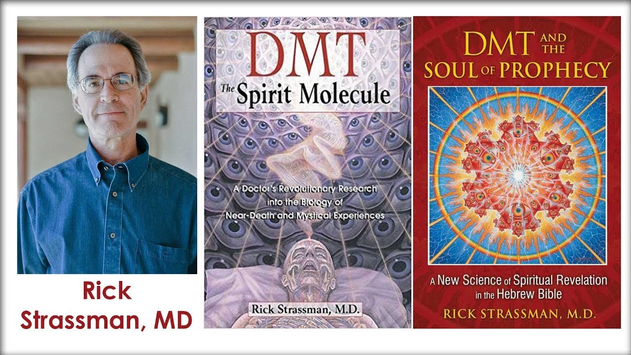 Dr. Rick Strassman - DMT Psychedelic Research - YouTube