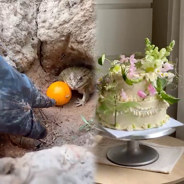 Wait for it 👀 - YouTube