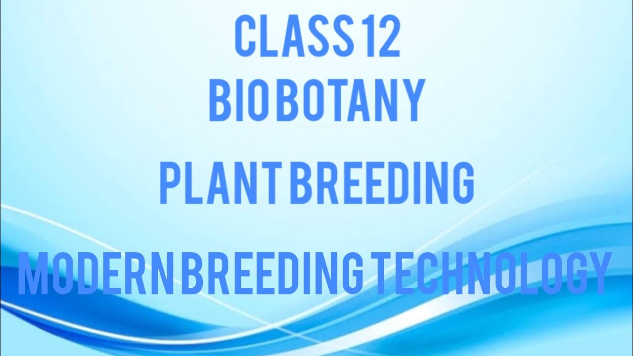 Plant breeding | Modern breeding technology | Class 12 | TN state board ...