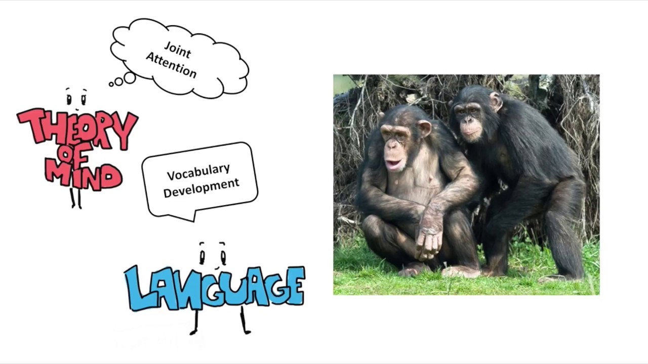 Language and Theory of Mind - YouTube