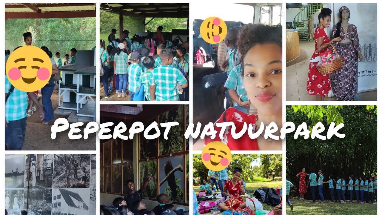 At Peperpot Natuurpark Commewijne with the third graders - YouTube