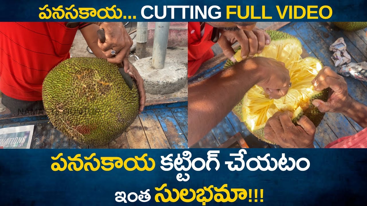 How To Cut Panasakaya Full Video | Jack Fruit | | Rudra Tv ...